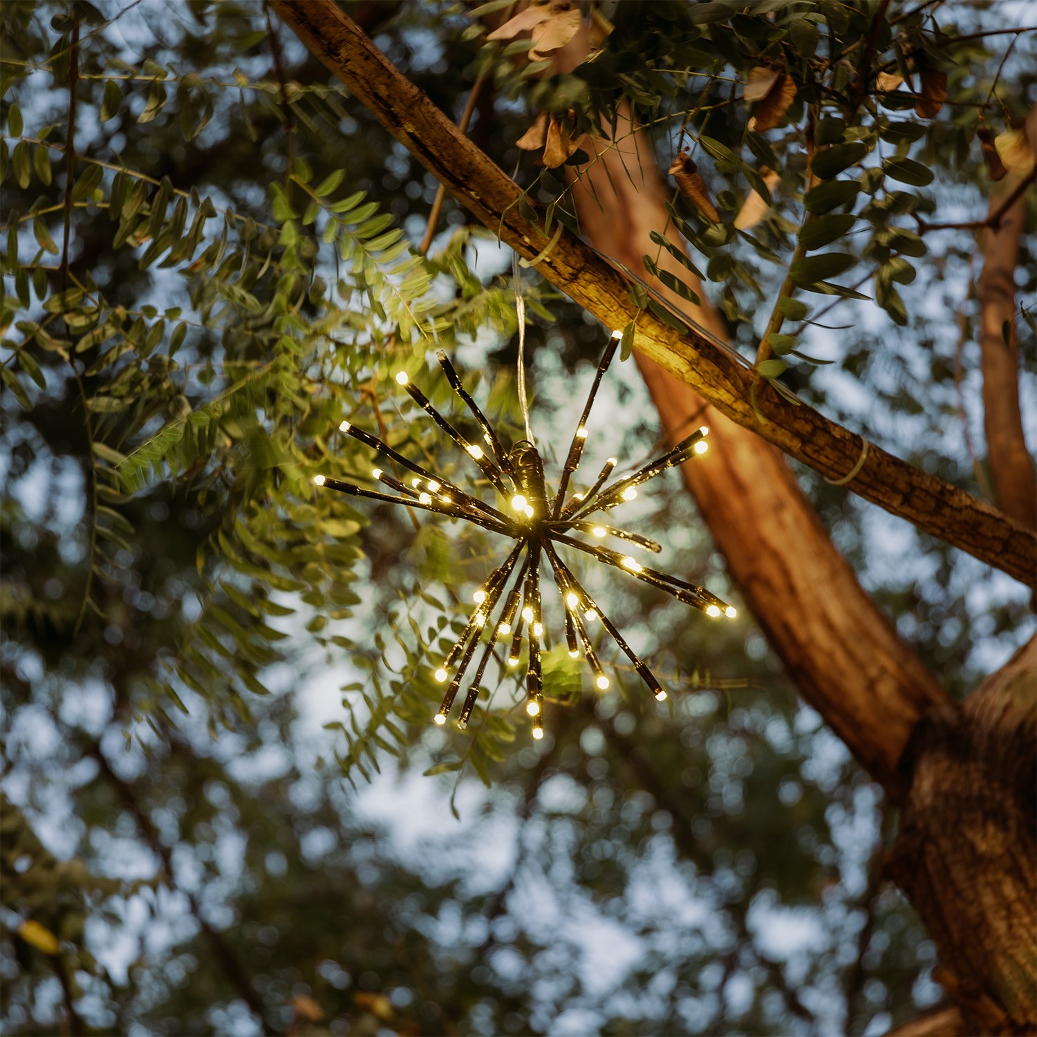 Sparklight (sans alimentation) - 0.3 m - leds blanc chaud - noir - 24V ...